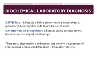 Medical bacteriology - Enterococcus Faecals | PDF | Infectious Diseases ...