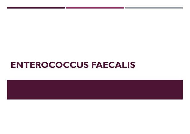 Medical bacteriology - Enterococcus Faecals | PDF | Infectious Diseases | Diseases and Conditions