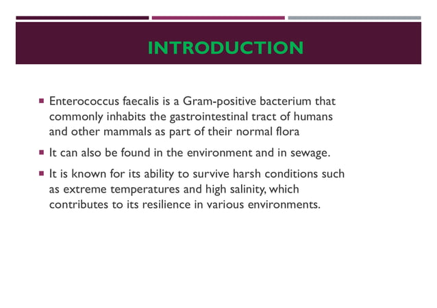 Medical bacteriology - Enterococcus Faecals | PDF | Infectious Diseases | Diseases and Conditions