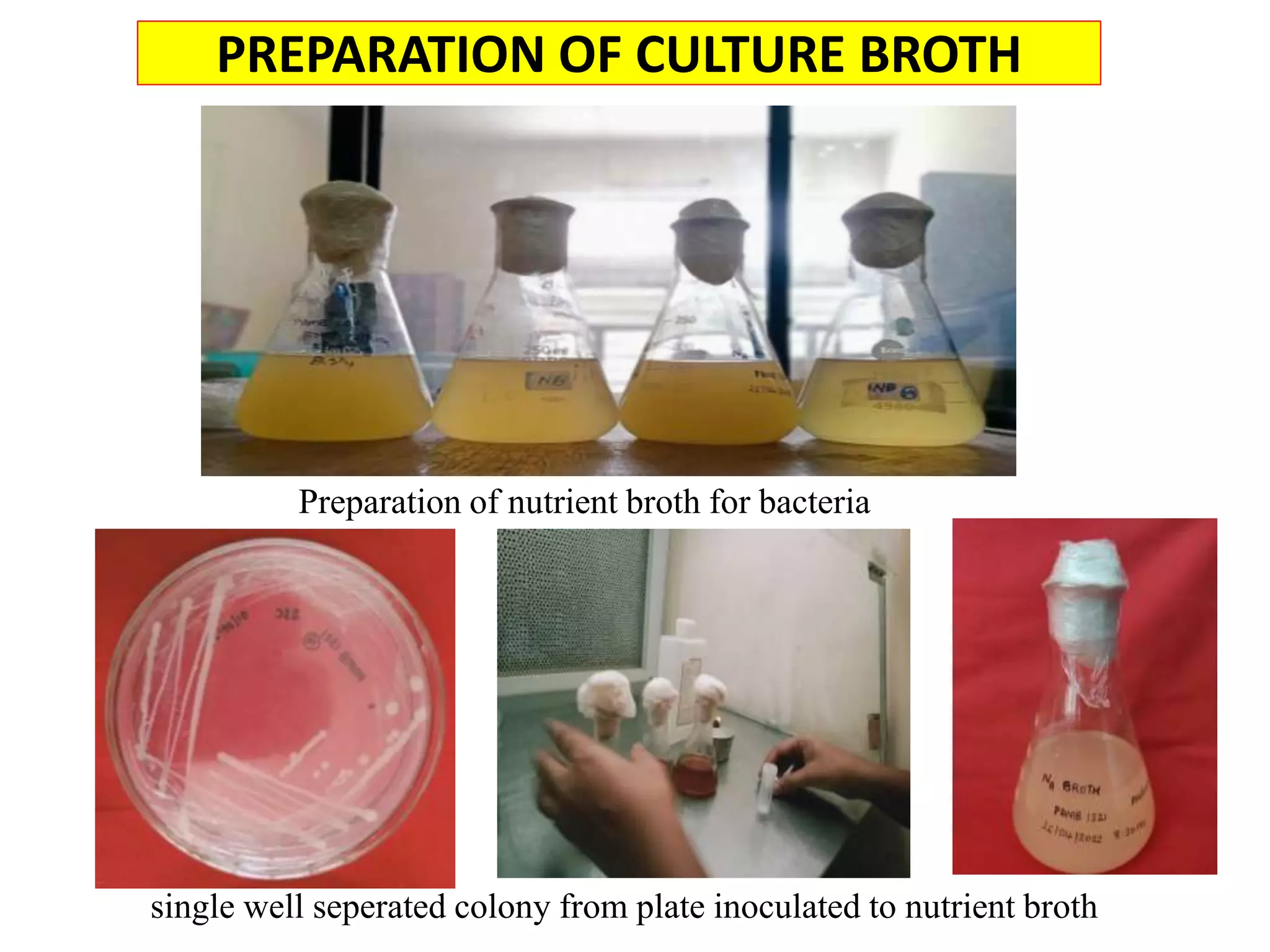 BACTERIOLOGY PRACTICALS PPT.pptx