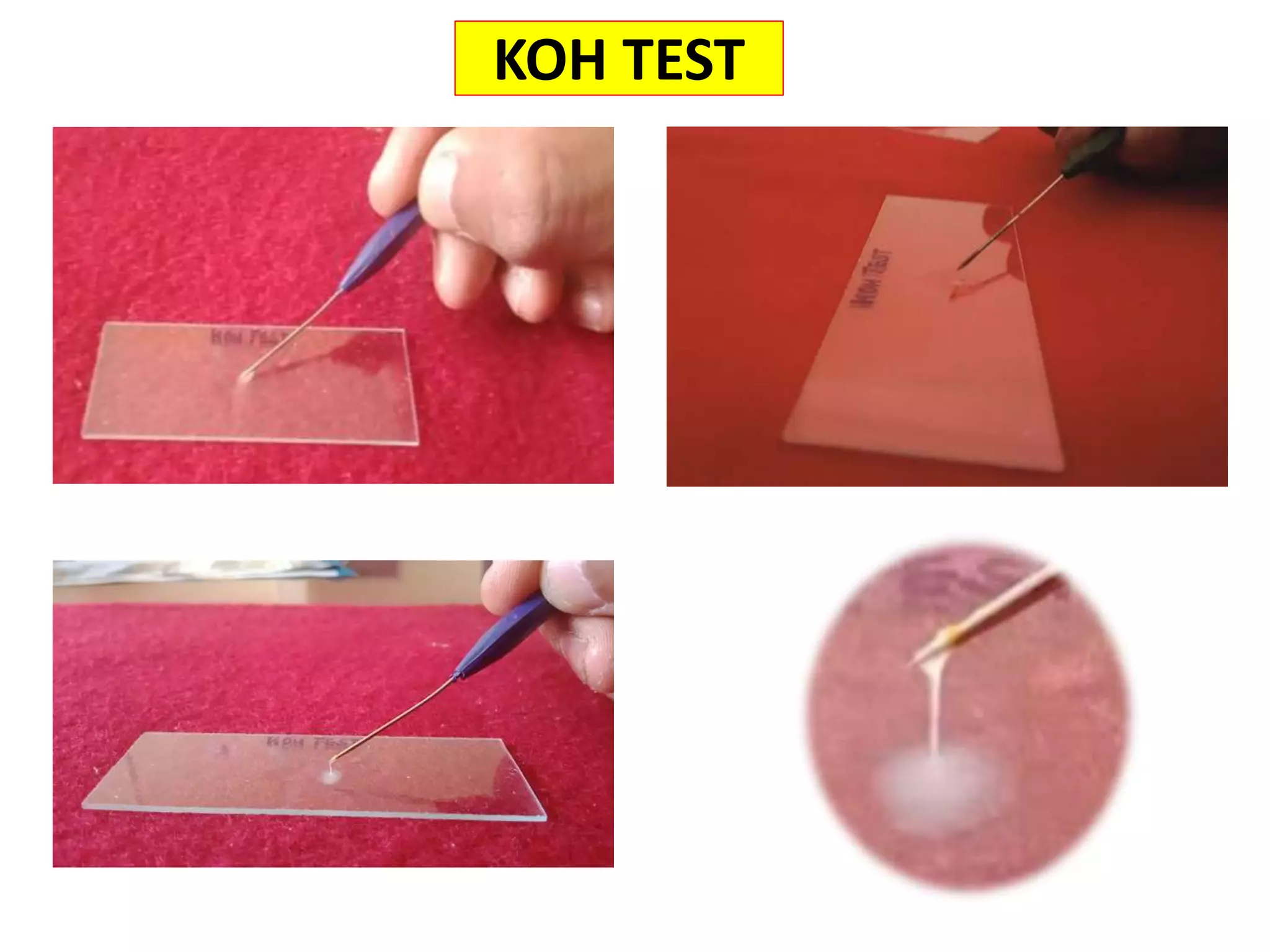 BACTERIOLOGY PRACTICALS PPT.pptx