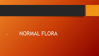 Normal flora | PPT