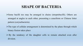 Bacterial morphology and classification | PPTX