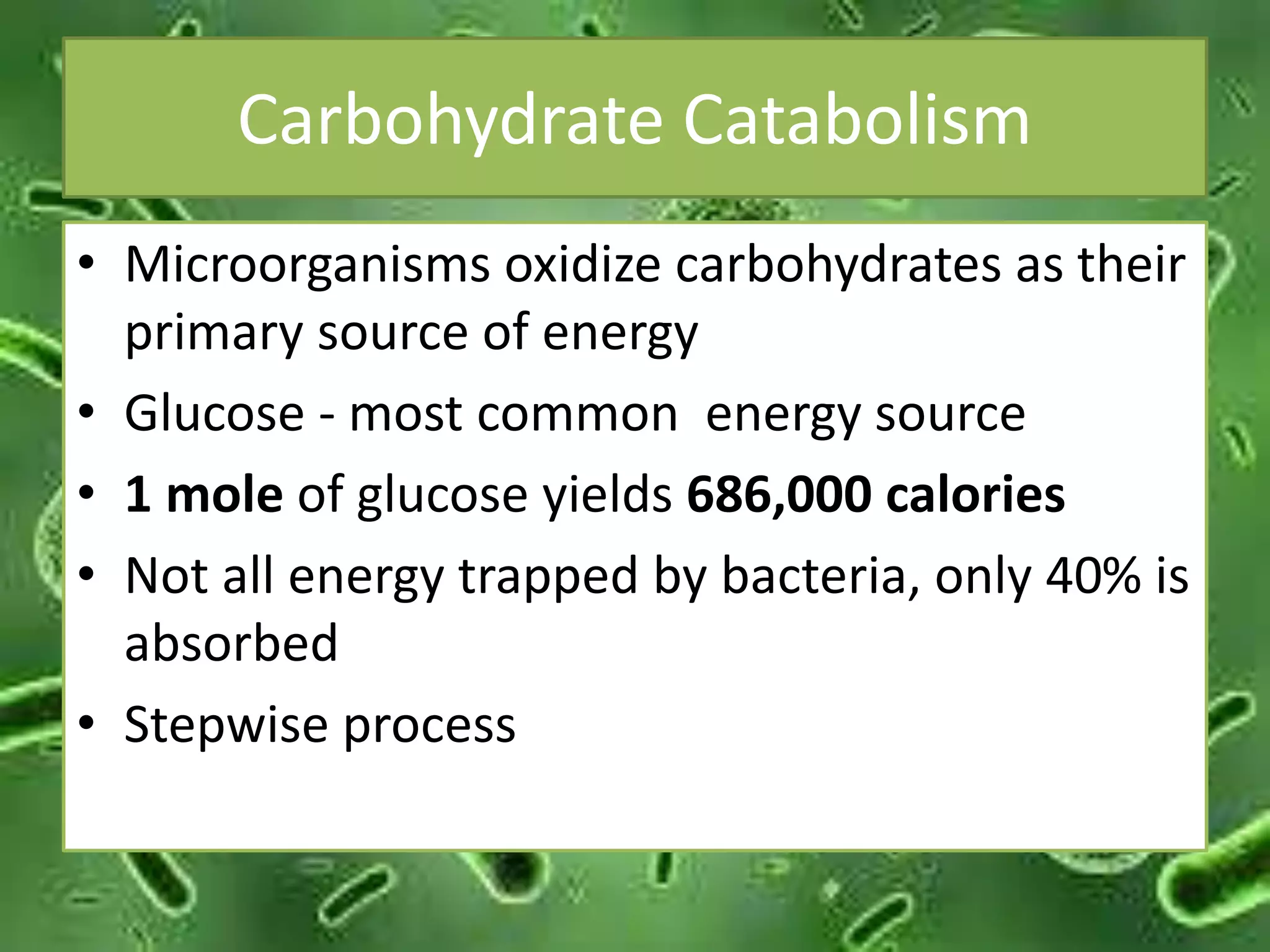 Biosynthesis and Metabolism of Carbohydrates in Bacteria | PPTX