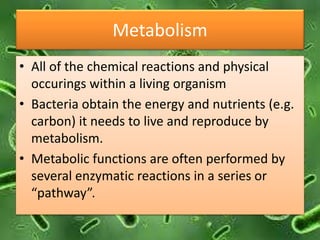 Biosynthesis and Metabolism of Carbohydrates in Bacteria | PPTX