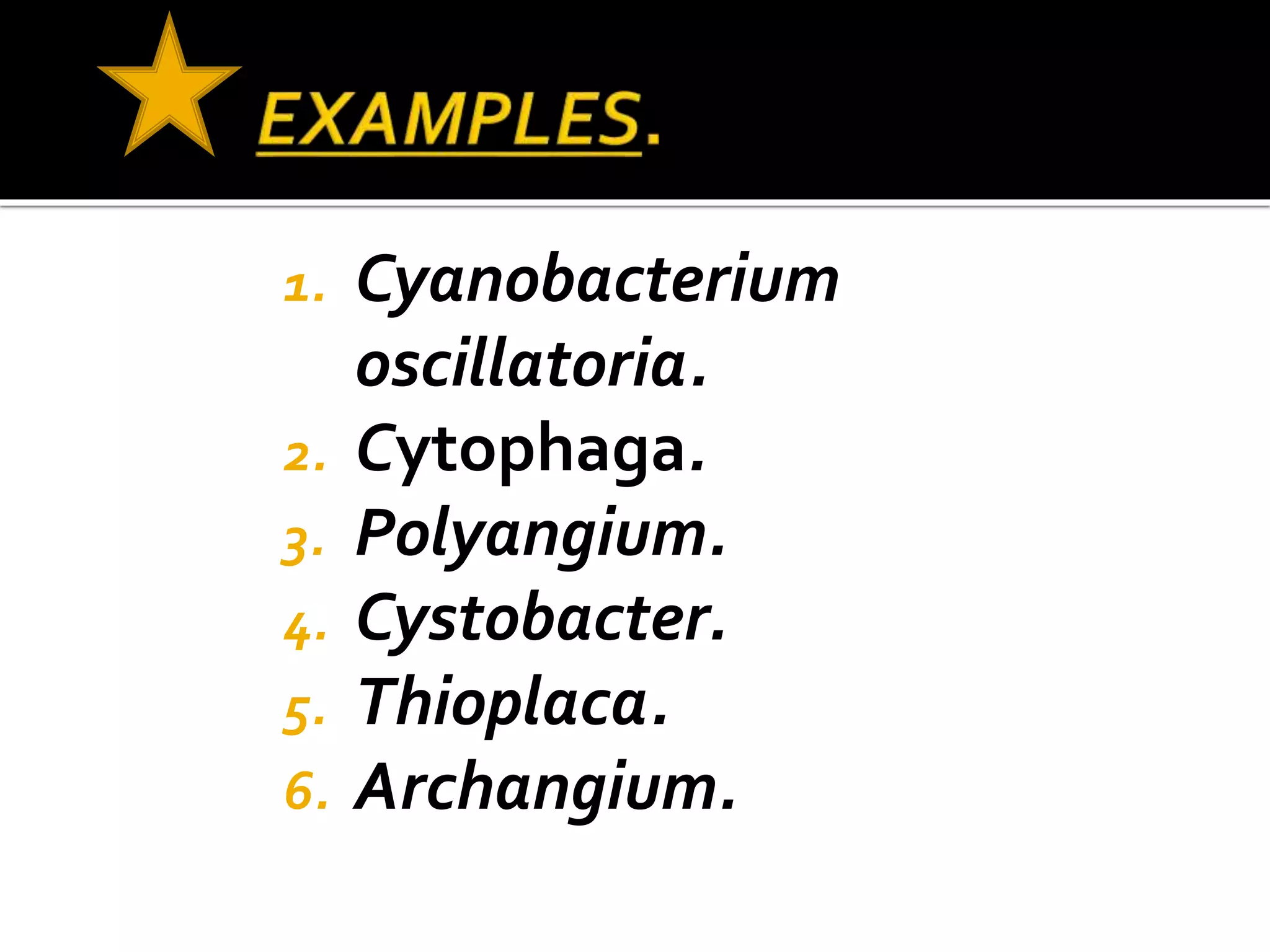 locomotion and reproduction in bacteria by Saira Mehar | PPTX