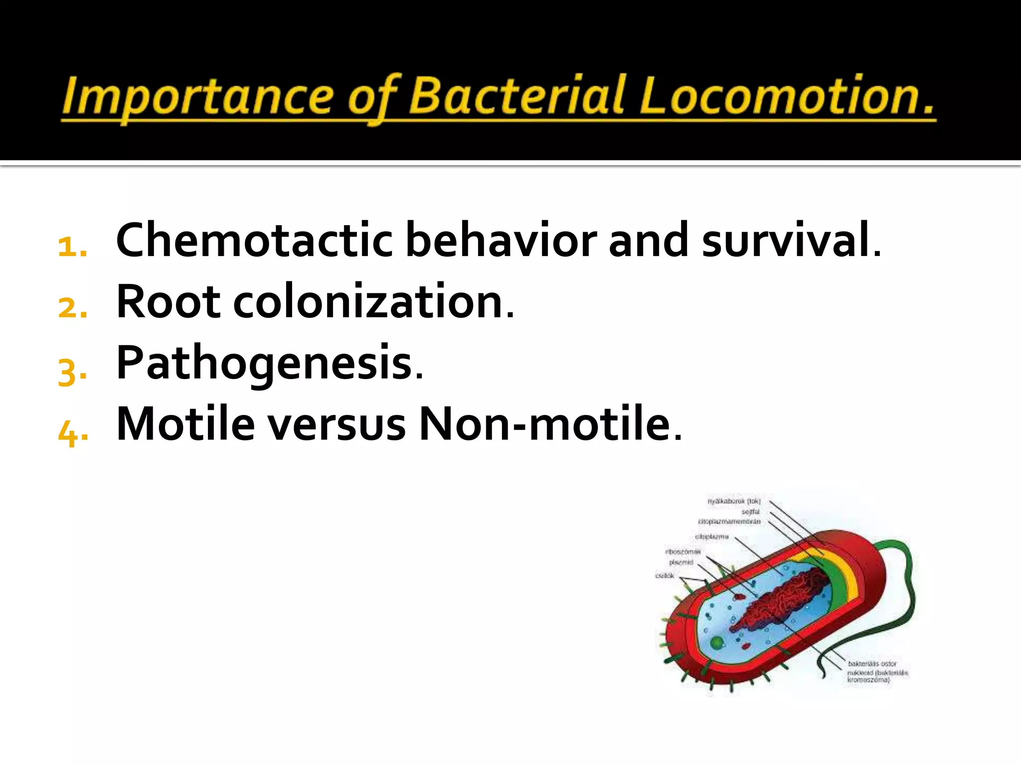 locomotion and reproduction in bacteria by Saira Mehar | PPTX