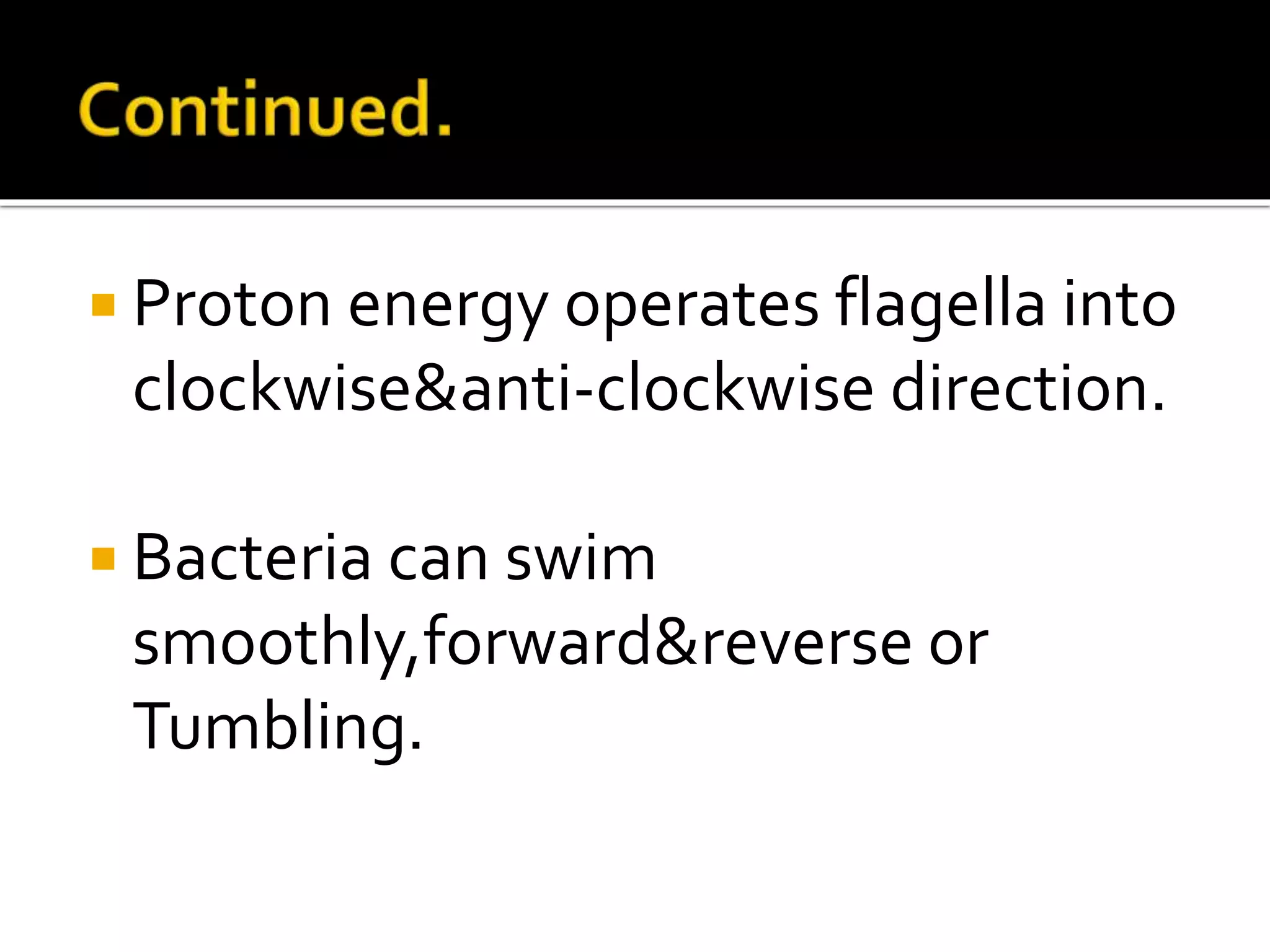 locomotion and reproduction in bacteria by Saira Mehar | PPTX