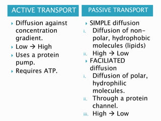 Ultra Structure of Plasma Membrane | PPTX | Chemistry | Science