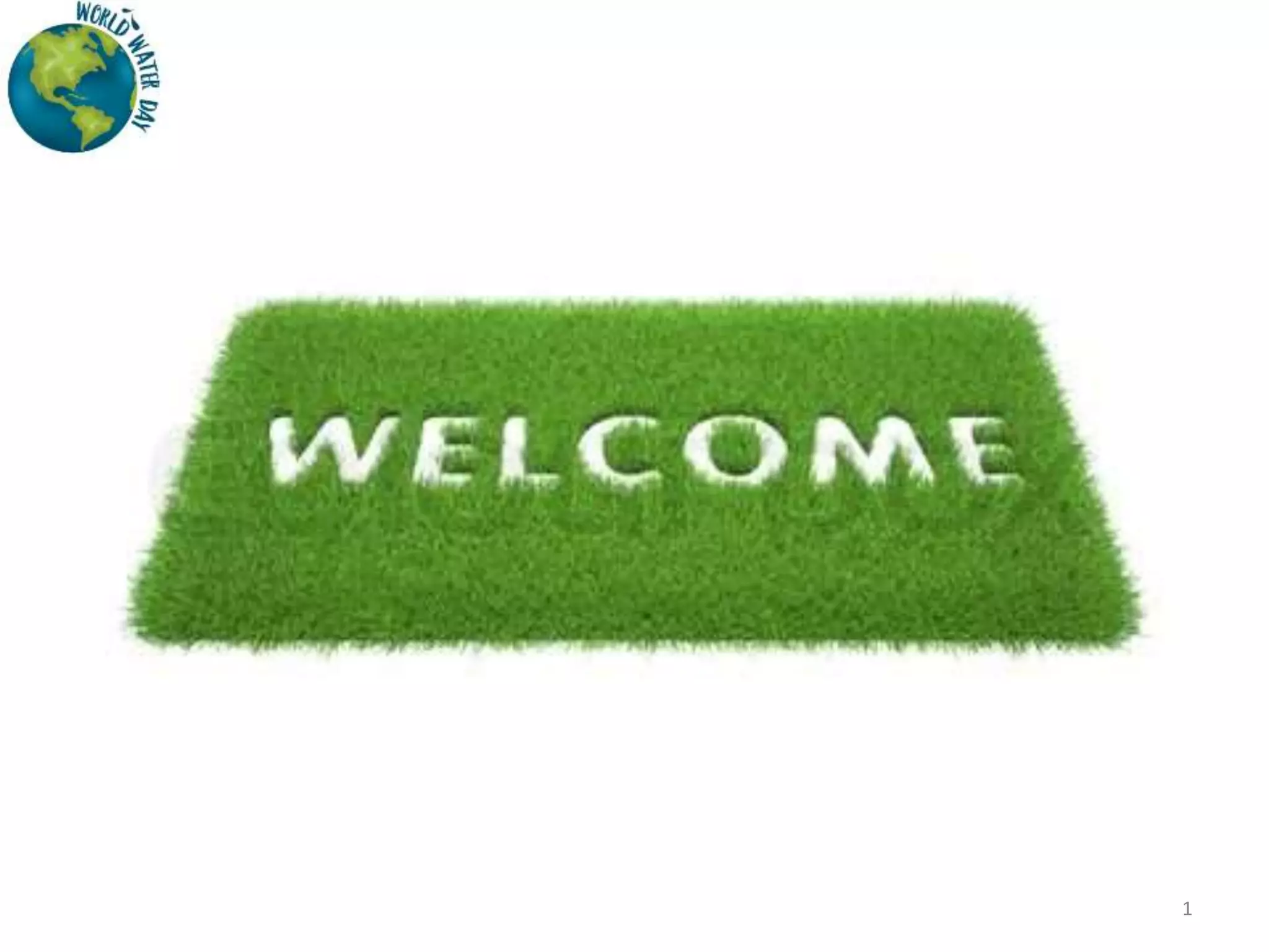 Taxonomy of Bacteria, Bergey's Manual of Systematic Bacteriology and ...