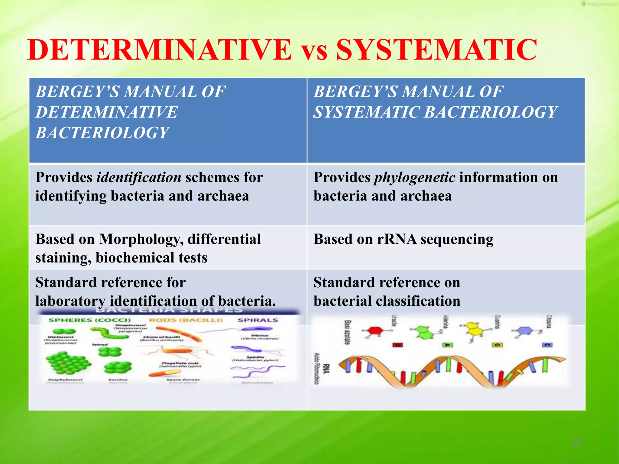 Taxonomy of Bacteria, Bergey's Manual of Systematic Bacteriology and ...
