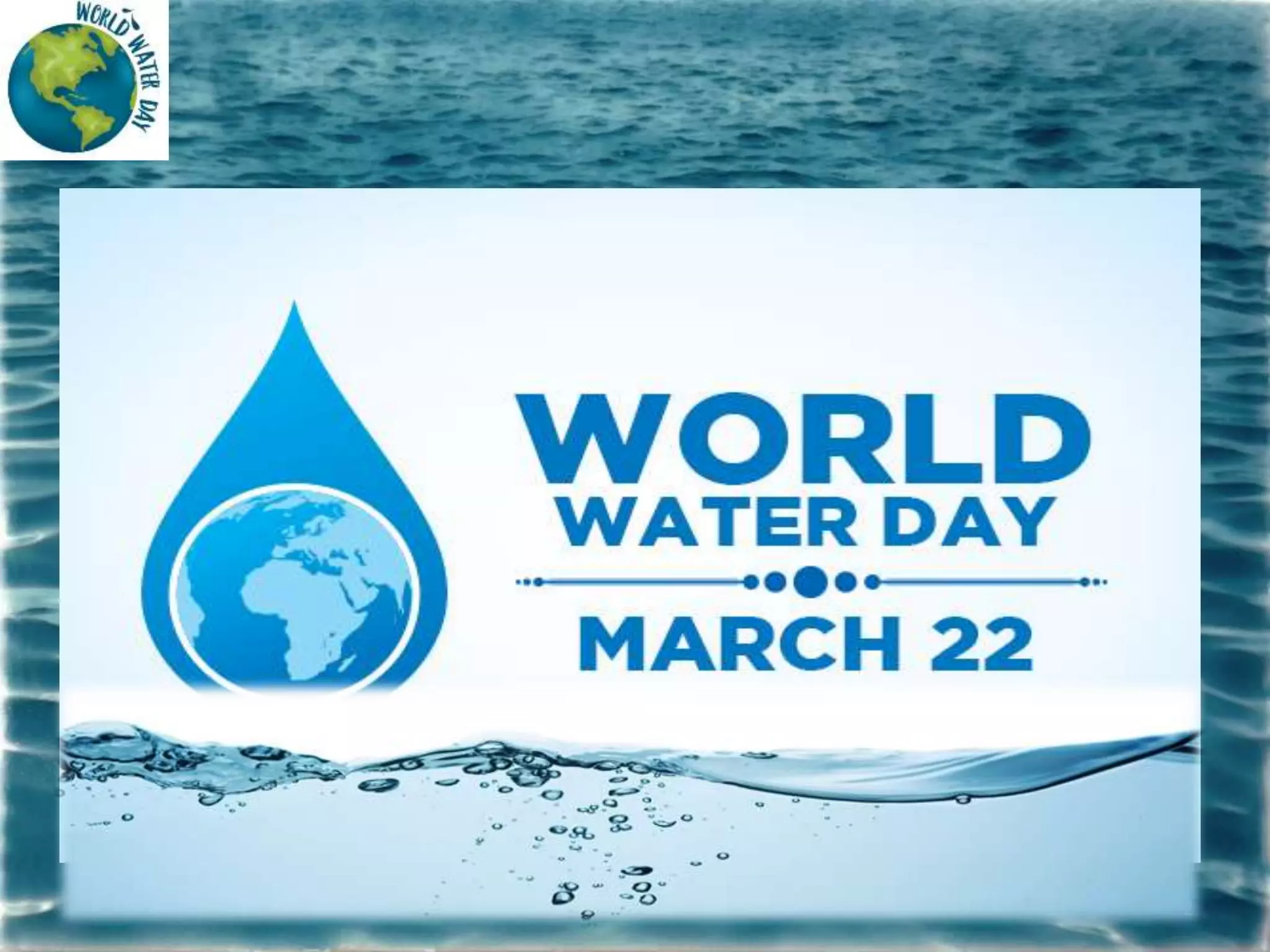 Taxonomy of Bacteria, Bergey's Manual of Systematic Bacteriology and ...