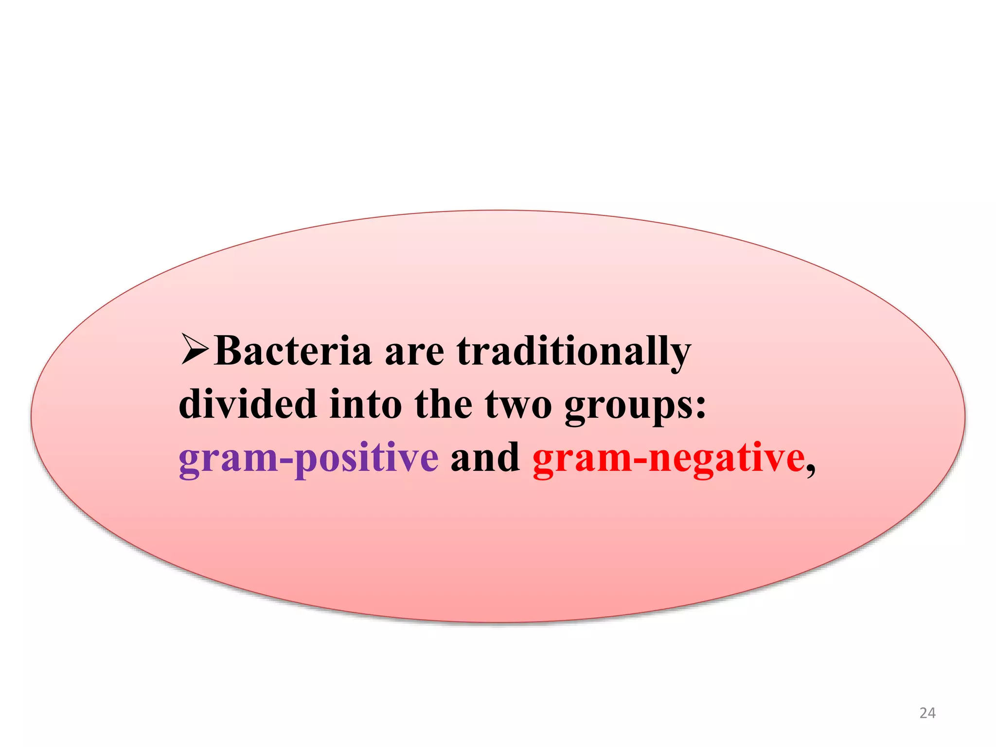 Taxonomy of Bacteria, Bergey's Manual of Systematic Bacteriology and ...