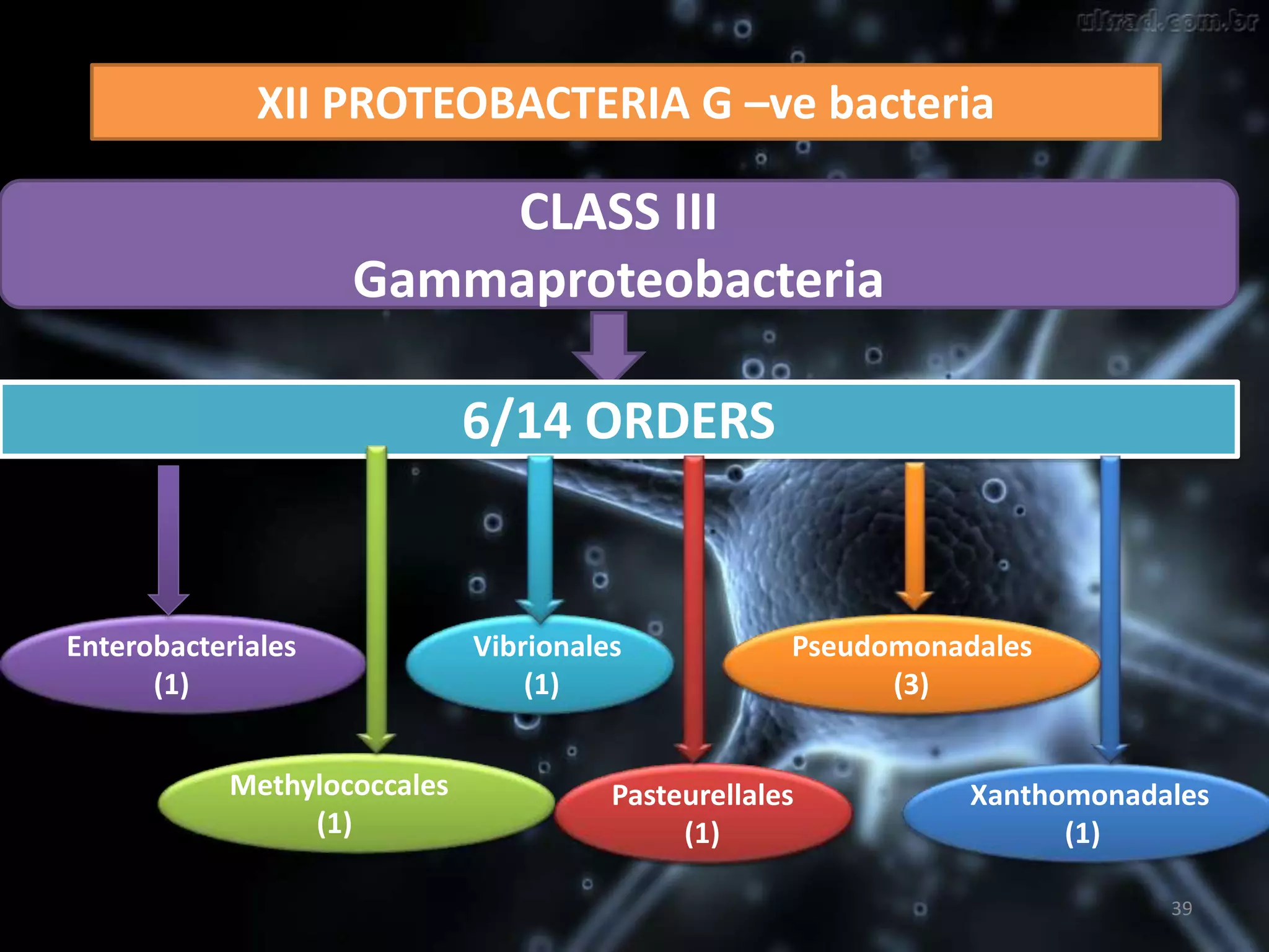 Taxonomy of Bacteria, Bergey's Manual of Systematic Bacteriology and ...
