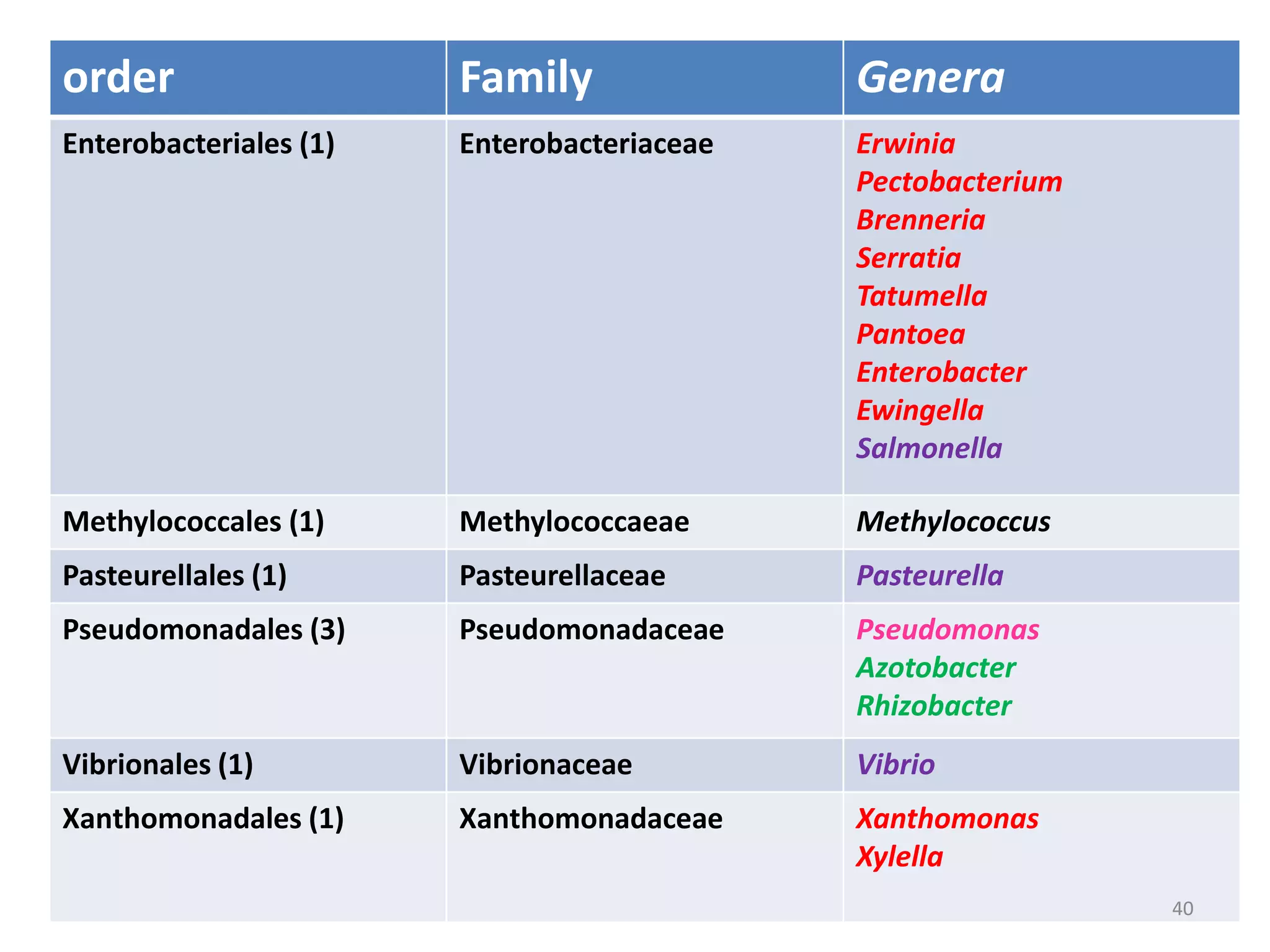 Taxonomy of Bacteria, Bergey's Manual of Systematic Bacteriology and ...