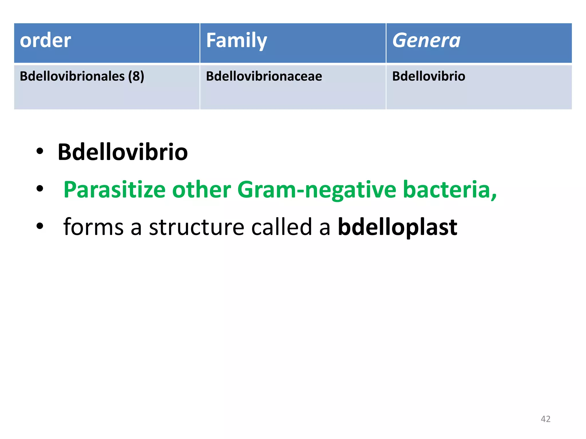 Taxonomy of Bacteria, Bergey's Manual of Systematic Bacteriology and ...