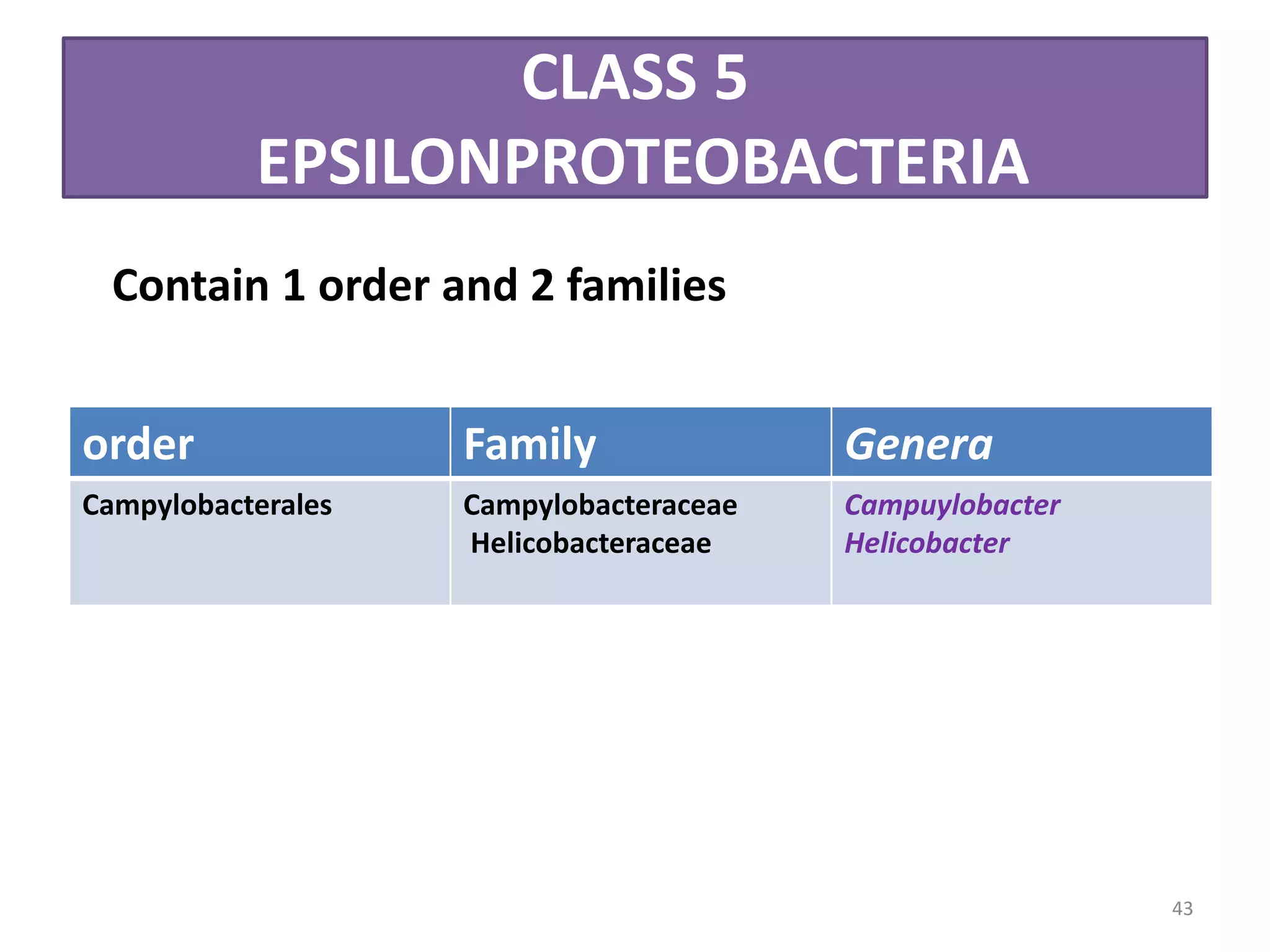 Taxonomy of Bacteria, Bergey's Manual of Systematic Bacteriology and ...