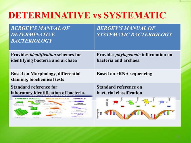 Taxonomy of Bacteria, Bergey's Manual of Systematic Bacteriology and ...