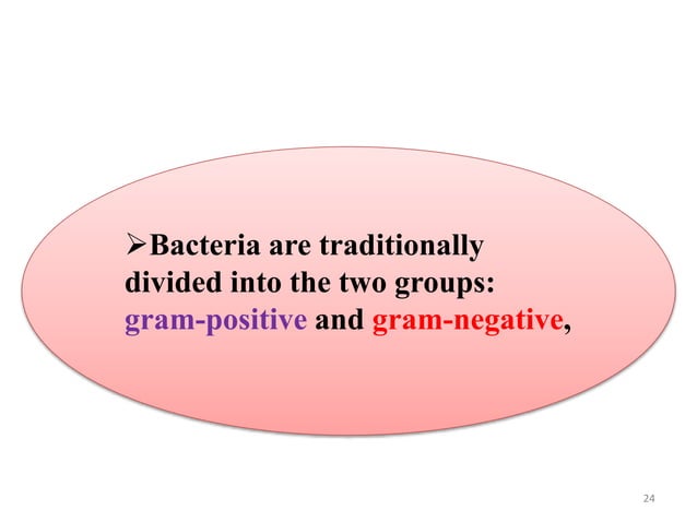 Taxonomy of Bacteria, Bergey's Manual of Systematic Bacteriology and Gram negative Bacteria ...