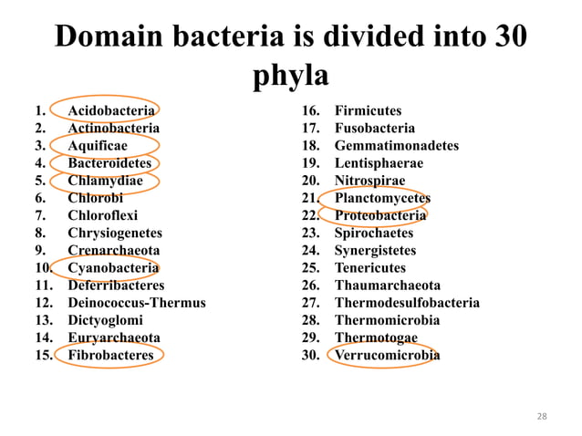 Taxonomy of Bacteria, Bergey's Manual of Systematic Bacteriology and ...