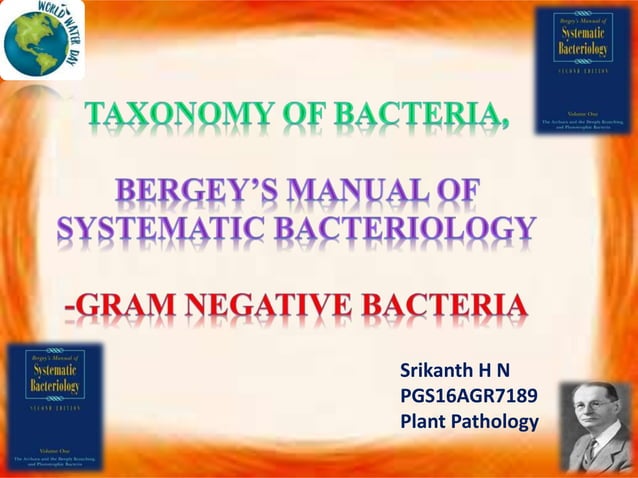 Taxonomy of Bacteria, Bergey's Manual of Systematic Bacteriology and Gram negative Bacteria ...