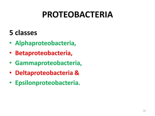 Taxonomy of Bacteria, Bergey's Manual of Systematic Bacteriology and ...