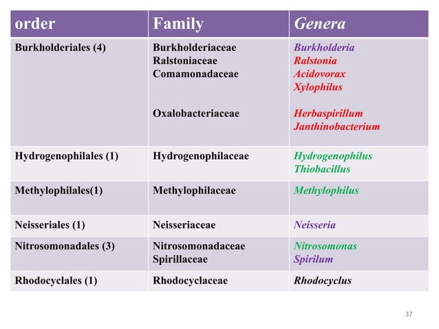 Taxonomy of Bacteria, Bergey's Manual of Systematic Bacteriology and ...