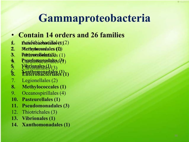 Taxonomy of Bacteria, Bergey's Manual of Systematic Bacteriology and ...