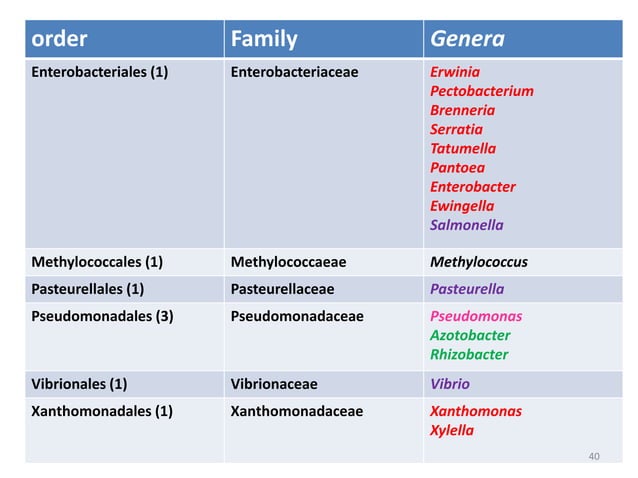 Taxonomy of Bacteria, Bergey's Manual of Systematic Bacteriology and ...