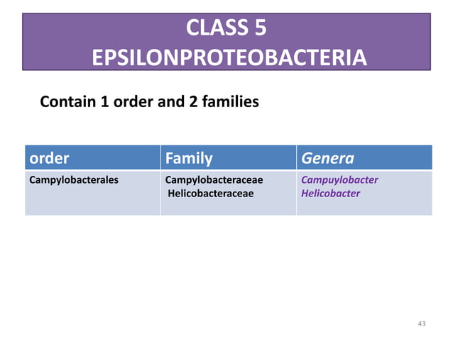 Taxonomy of Bacteria, Bergey's Manual of Systematic Bacteriology and ...