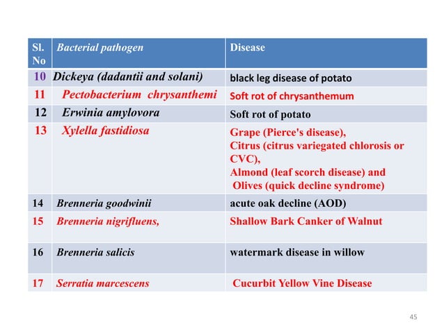 Taxonomy of Bacteria, Bergey's Manual of Systematic Bacteriology and Gram negative Bacteria ...