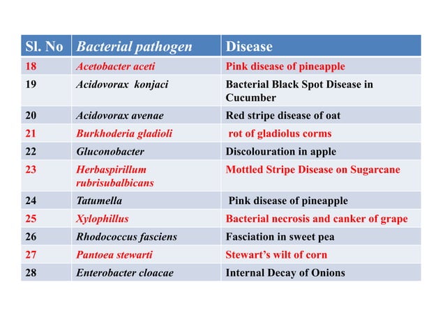 Taxonomy of Bacteria, Bergey's Manual of Systematic Bacteriology and ...