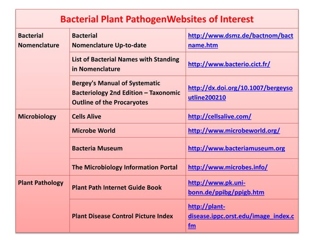 Taxonomy of Bacteria, Bergey's Manual of Systematic Bacteriology and Gram negative Bacteria ...