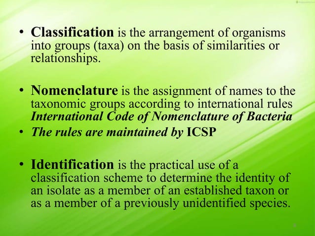 Taxonomy of Bacteria, Bergey's Manual of Systematic Bacteriology and Gram negative Bacteria ...