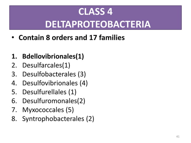 Taxonomy of Bacteria, Bergey's Manual of Systematic Bacteriology and Gram negative Bacteria