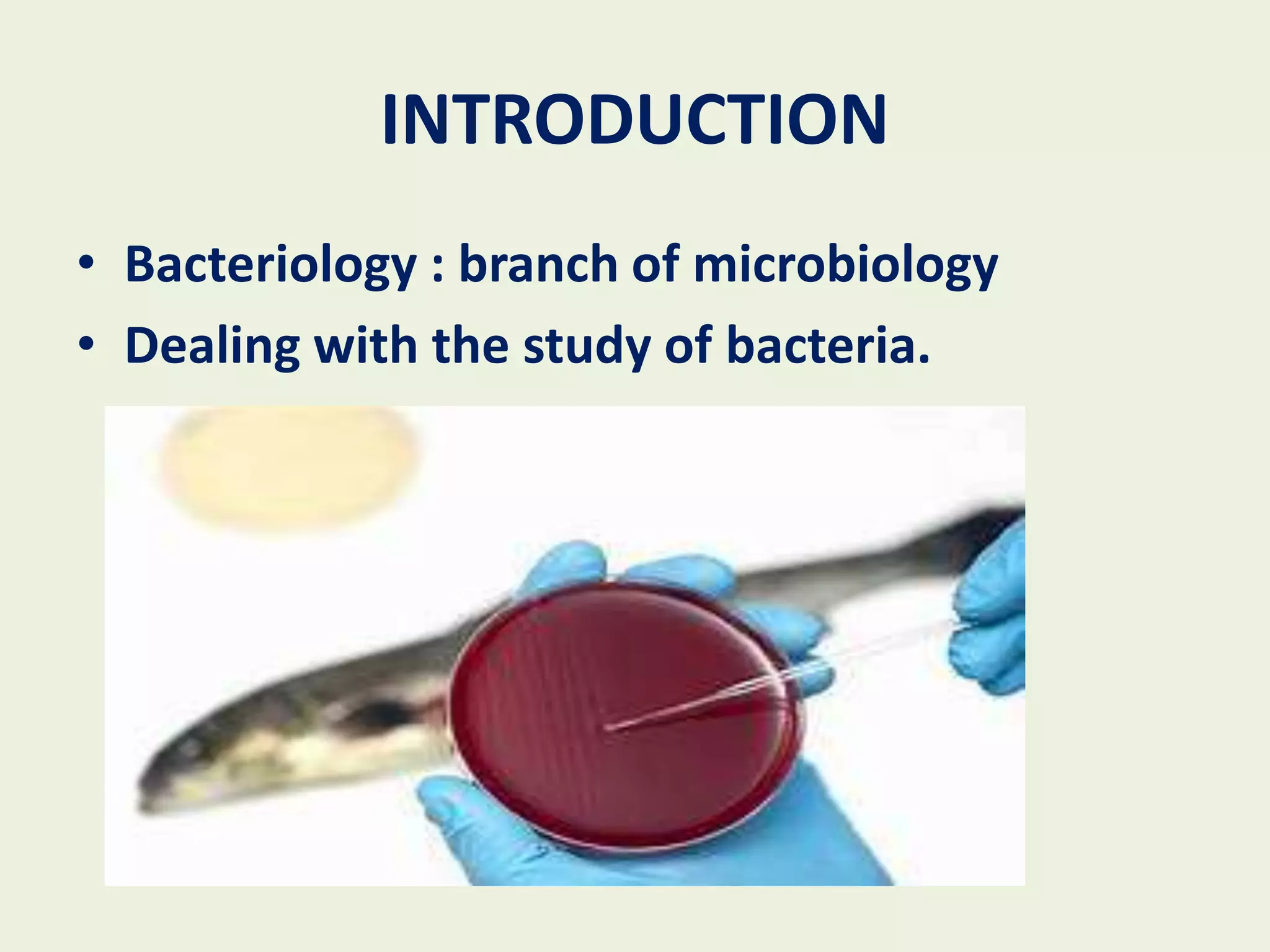 Bacteriology studies of bacteria | PPTX
