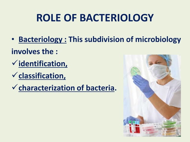 Bacteriology studies of bacteria | PPT