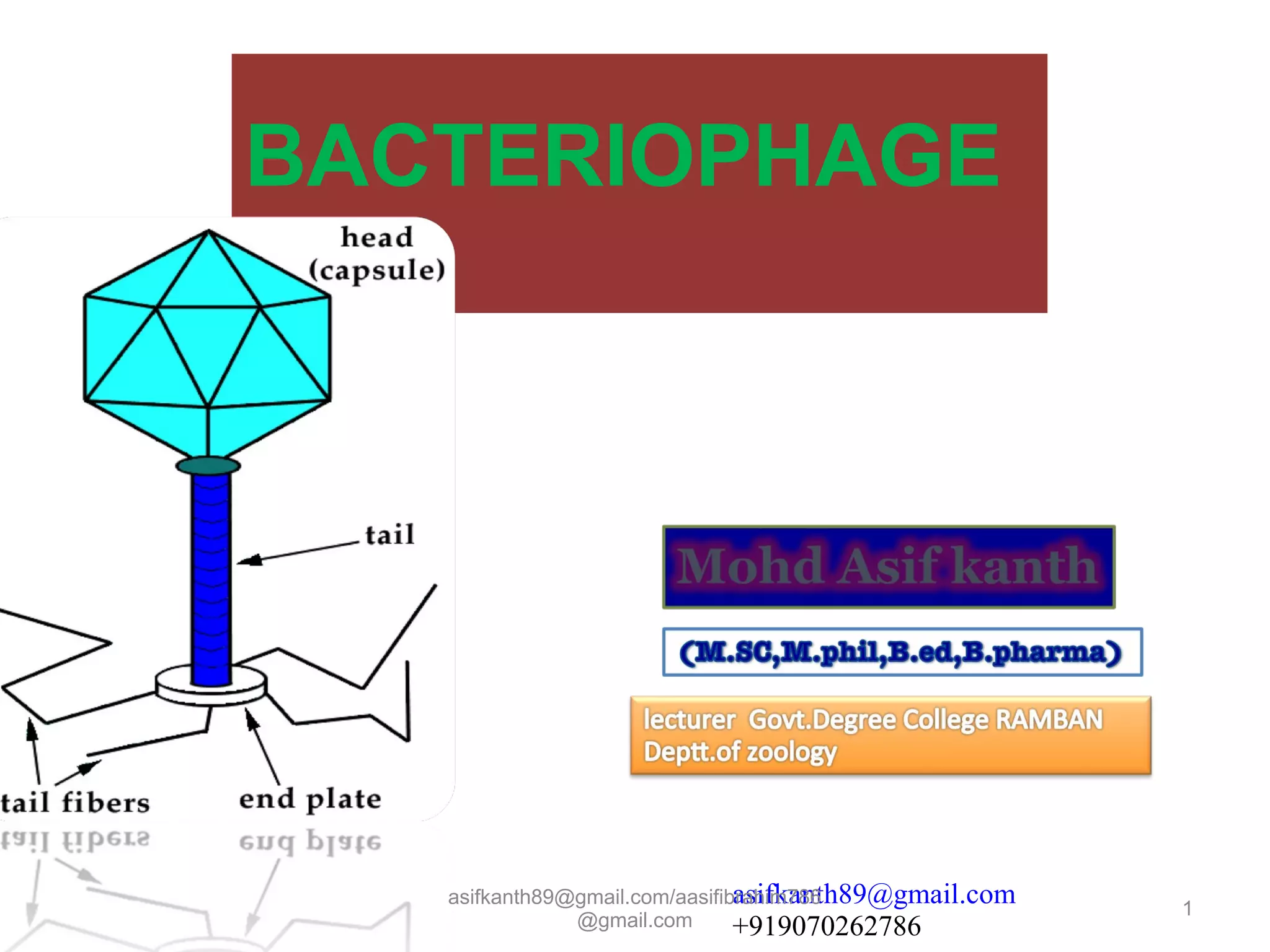 Bacteriophage | PPT