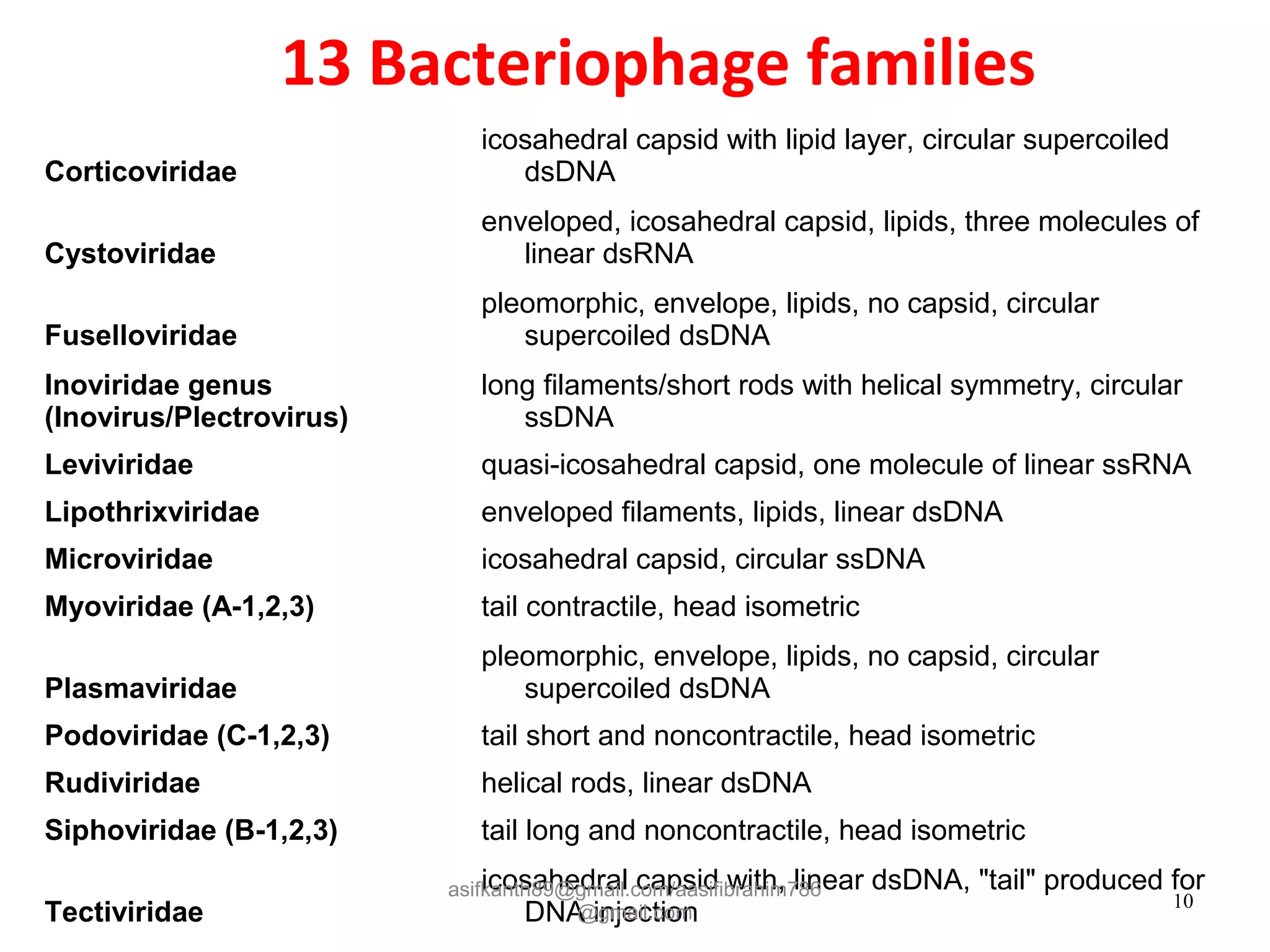 Bacteriophage | PPT