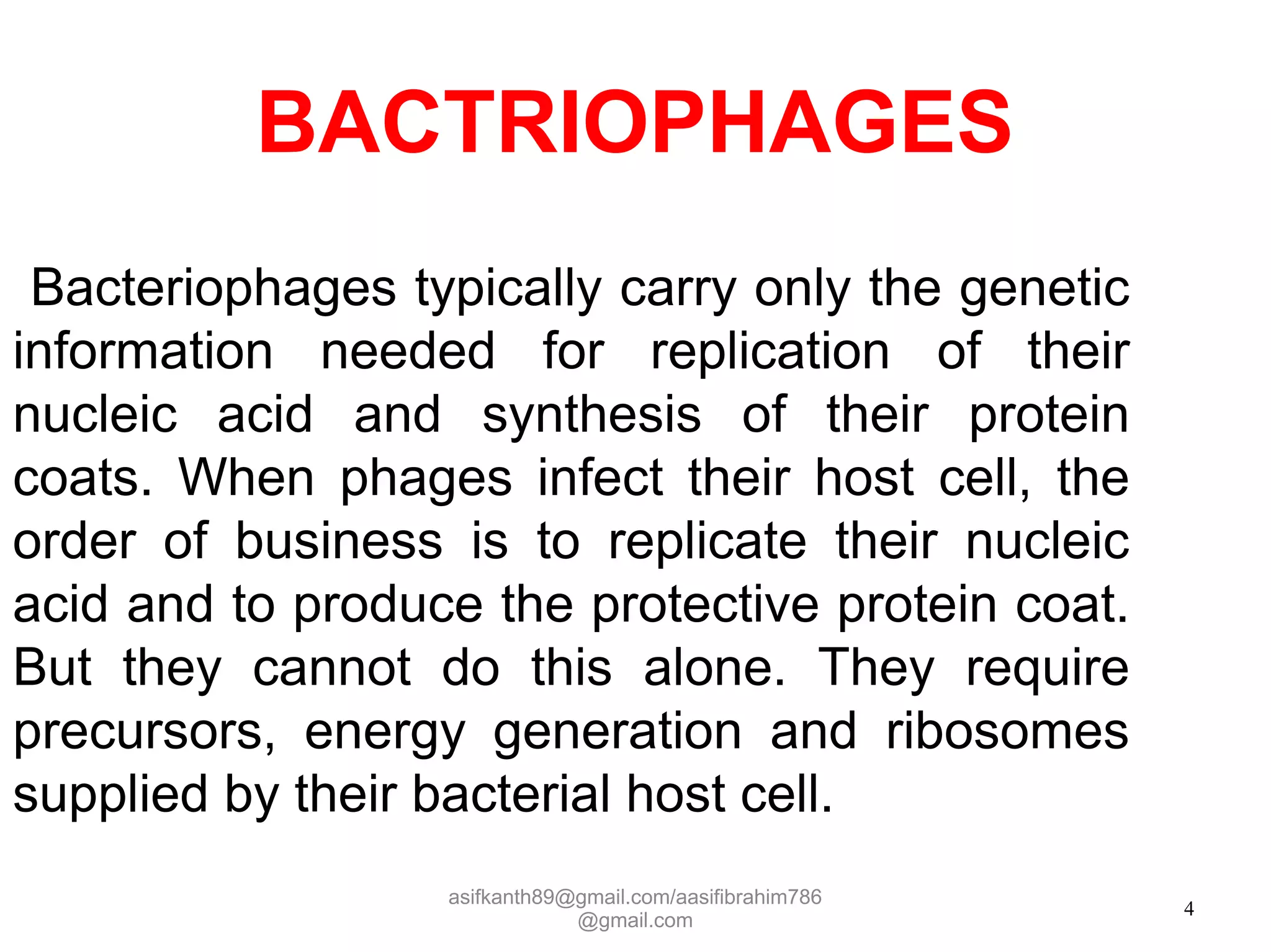 Bacteriophage | PPT