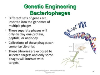 Bacteriophage | PPT