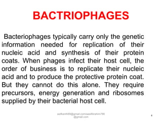 Bacteriophage | PPT
