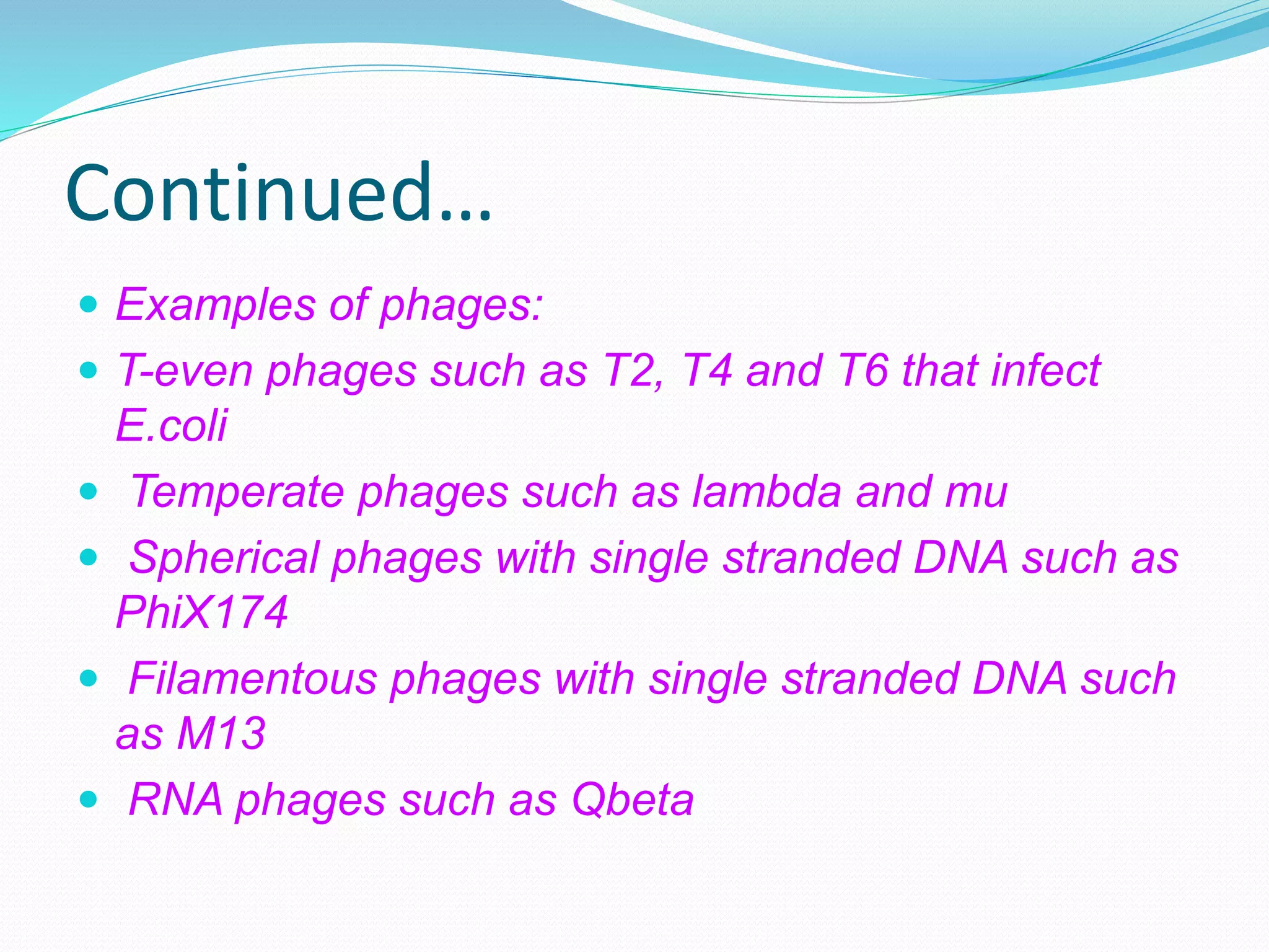 Bacteriophage | PPTX