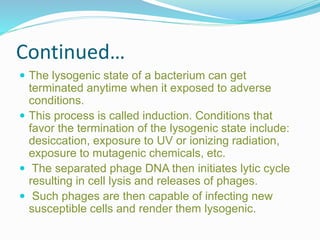 Bacteriophage | PPTX