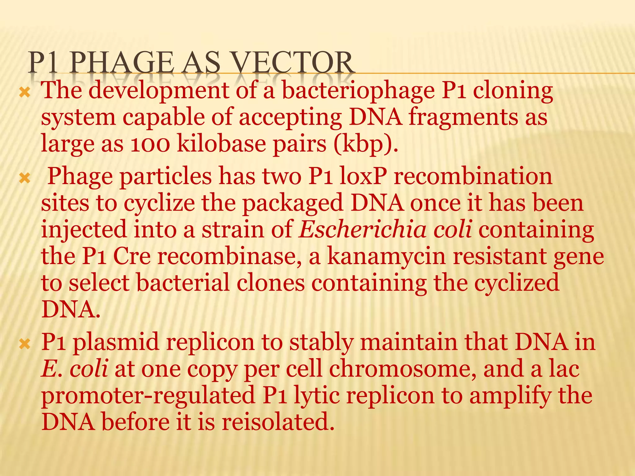 Bacteriophage vectors | PPTX