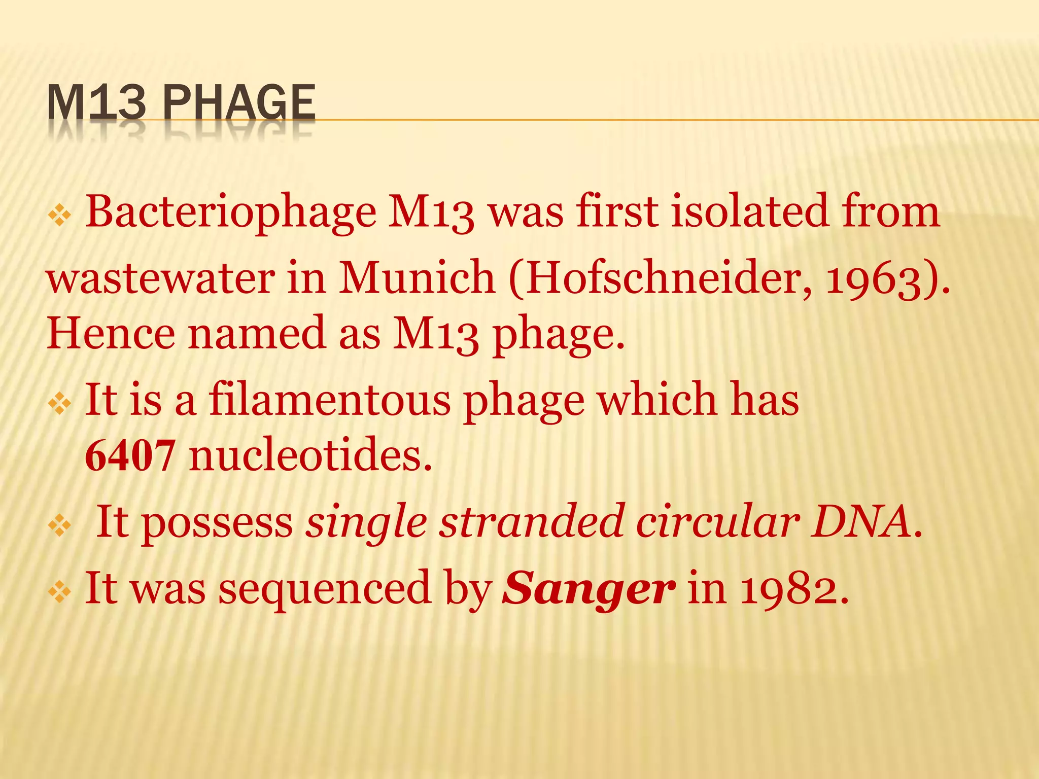 Bacteriophage vectors | PPTX