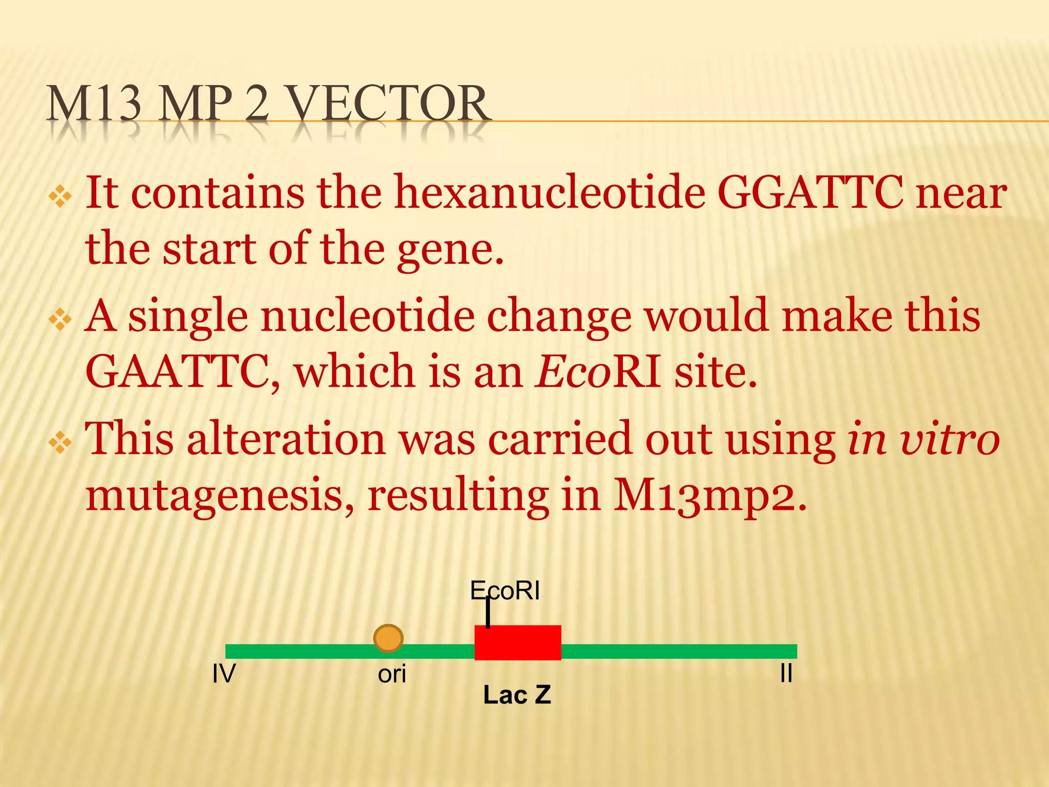 Bacteriophage vectors | PPTX