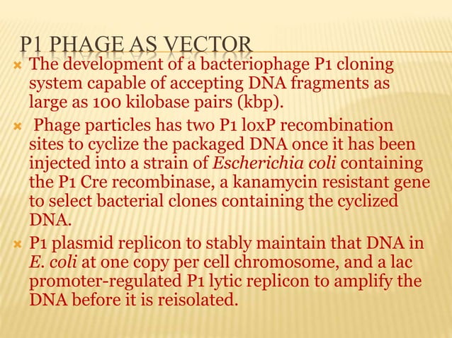 Bacteriophage vectors | PPTX | Biological Sciences | Science