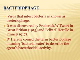 Bacteriophage vectors | PPTX