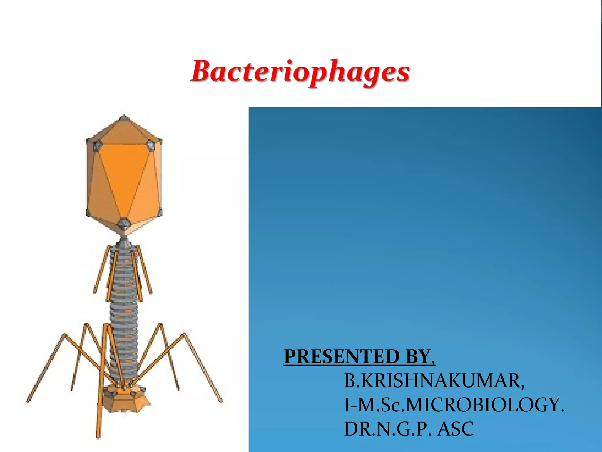 Bacteriophage | PPT